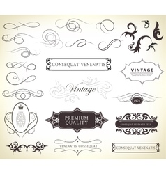Decorative filigree elements Royalty Free Vector Image
