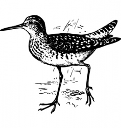 Flying books Royalty Free Vector Image - VectorStock