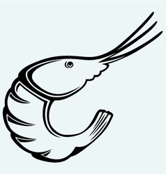 Krill Vector Images (55)