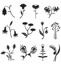 Flower Vector Images (over 520,000)