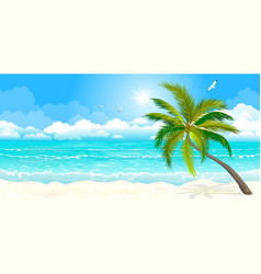 Tropical beach with palm trees Royalty Free Vector Image