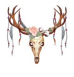 Bright watercolor deer skull with flowers Vector Image