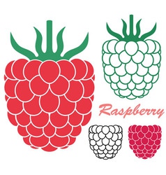 Raspberries Vector Images (over 5,600)