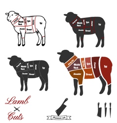 American cuts of lamb or mutton diagram Royalty Free Vector