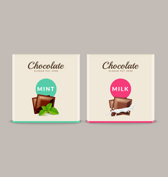 Realistic chocolate bar package template Vector Image