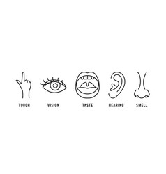 The Five Senses Drawing Vector Images (over 170)