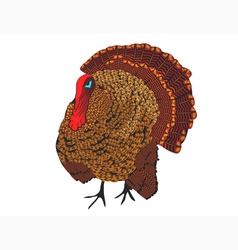 Turkey Vector Images (over 10,000) - VectorStock