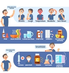 Dengue Fever Infographics Royalty Free Vector Image