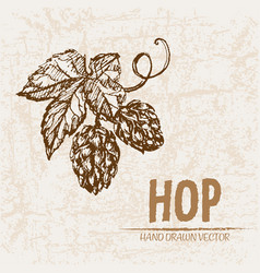Hops Vector Images (over 9,100)