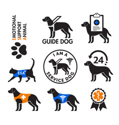 Guide-dog symbol with two round service dog badges