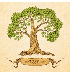 Hand drawn tree symbol Royalty Free Vector Image
