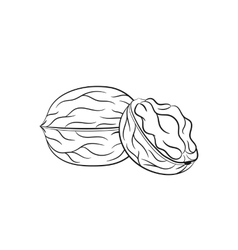 Almond Coloring Page