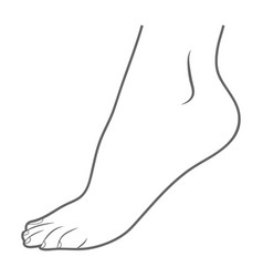 Feet - lateral view outside isolated on a white Vector Image