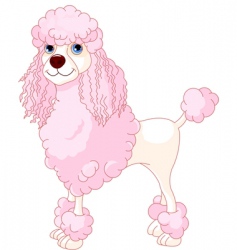 Pink poodle Royalty Free Vector Image - VectorStock