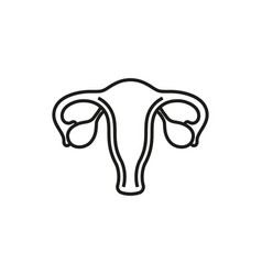 Human female genitalia outline external Royalty Free Vector