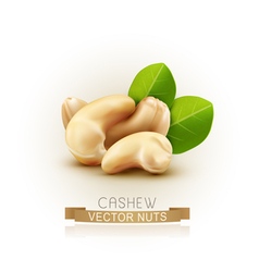 Cashew Vector Images (over 600)