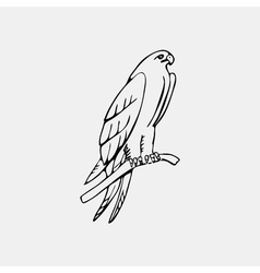 Stencil hawk Royalty Free Vector Image - VectorStock
