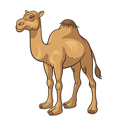 Camel Vector Images (over 12,000)