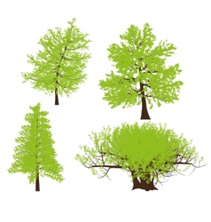 Tree Royalty Free Vector Image - VectorStock