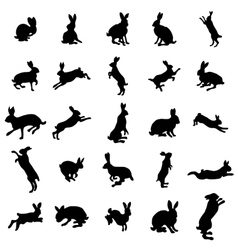 Dancing rabbit silhouette Royalty Free Vector Image