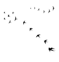 Birds flying away into the distance Royalty Free Vector