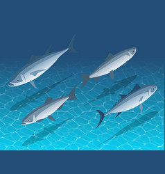 Isometric goldfish in freshwater aquarium Vector Image