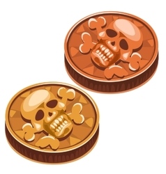 Gold Money pirate coin Royalty Free Vector Image