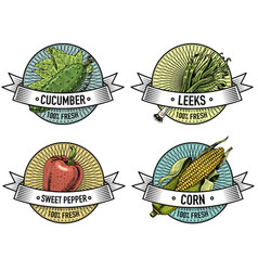 Farm fresh product label design layout Royalty Free Vector