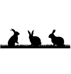 Rabbit is playing together in garden Royalty Free Vector