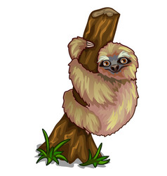 Sloth Vector Images (over 330)