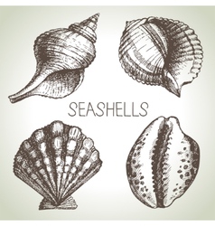 Seashells Vector Images (over 3,480) - VectorStock