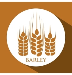 Barley Vector Images (over 5,280) - VectorStock