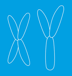 Chromosome Vector Images (over 3,800)