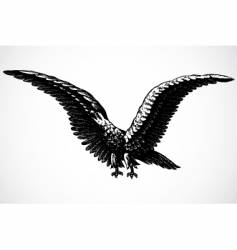 Eagles Royalty Free Vector Image - VectorStock