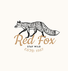 Red fox badges set forest ginger wild animal Vector Image