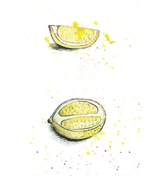 Lemon drawing summer fruit artistic Royalty Free Vector