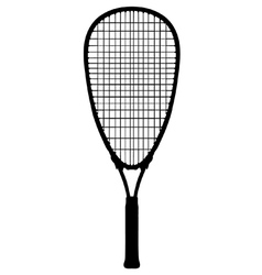 Squash Vector Images (over 2,600)