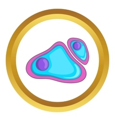 Animal cell anatomy Royalty Free Vector Image - VectorStock