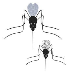 Mosquito Vector Images (over 2,300)