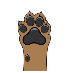 Cartoon foot Royalty Free Vector Image - VectorStock