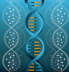 Human evolution Royalty Free Vector Image - VectorStock