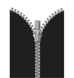 Open zipper Royalty Free Vector Image - VectorStock