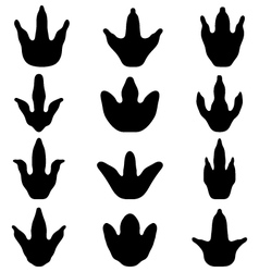 Mosasaurus Royalty Free Vector Image - VectorStock