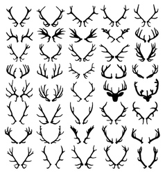 Antler Vector Images (over 21,000)
