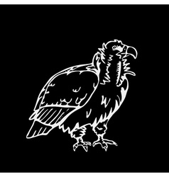 Stencil hawk Royalty Free Vector Image - VectorStock