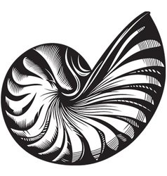 Shell swirl Royalty Free Vector Image - VectorStock