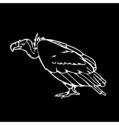 Stencil hawk Royalty Free Vector Image - VectorStock
