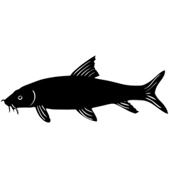 Barbel & Fish Vector Images (69)