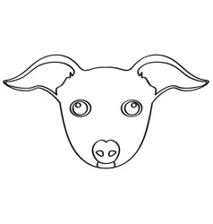 Italian Greyhound Royalty Free Vector Image - VectorStock