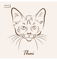 Thai Vector Images (over 5,400)